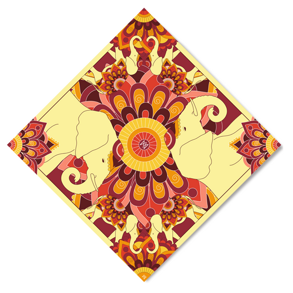 Elephant Evolution - Ambers – A.M.