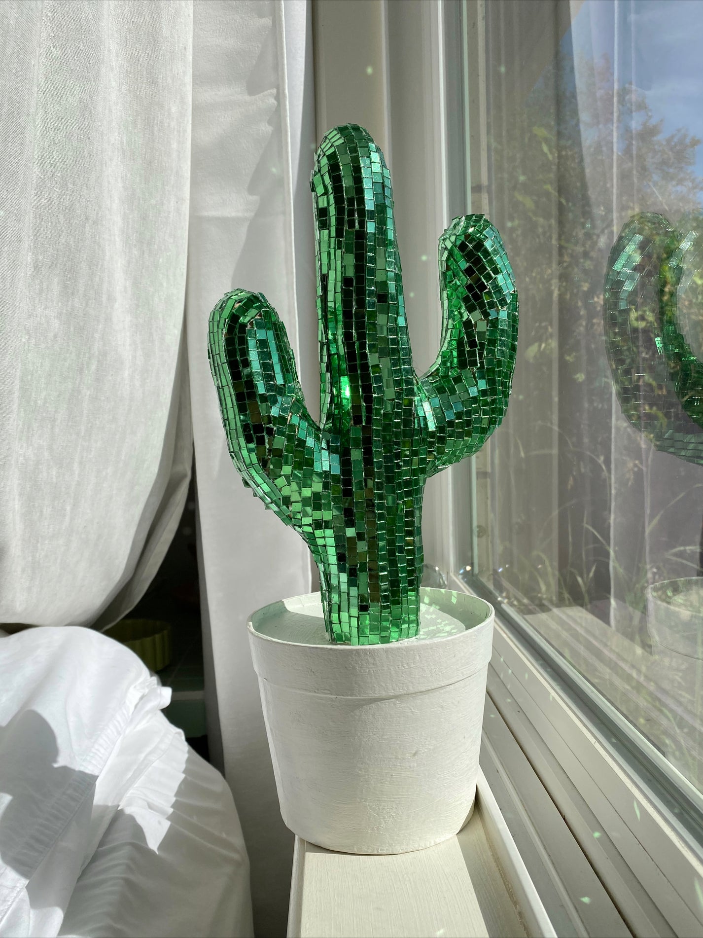 disco cactus 🌵 – A.M.